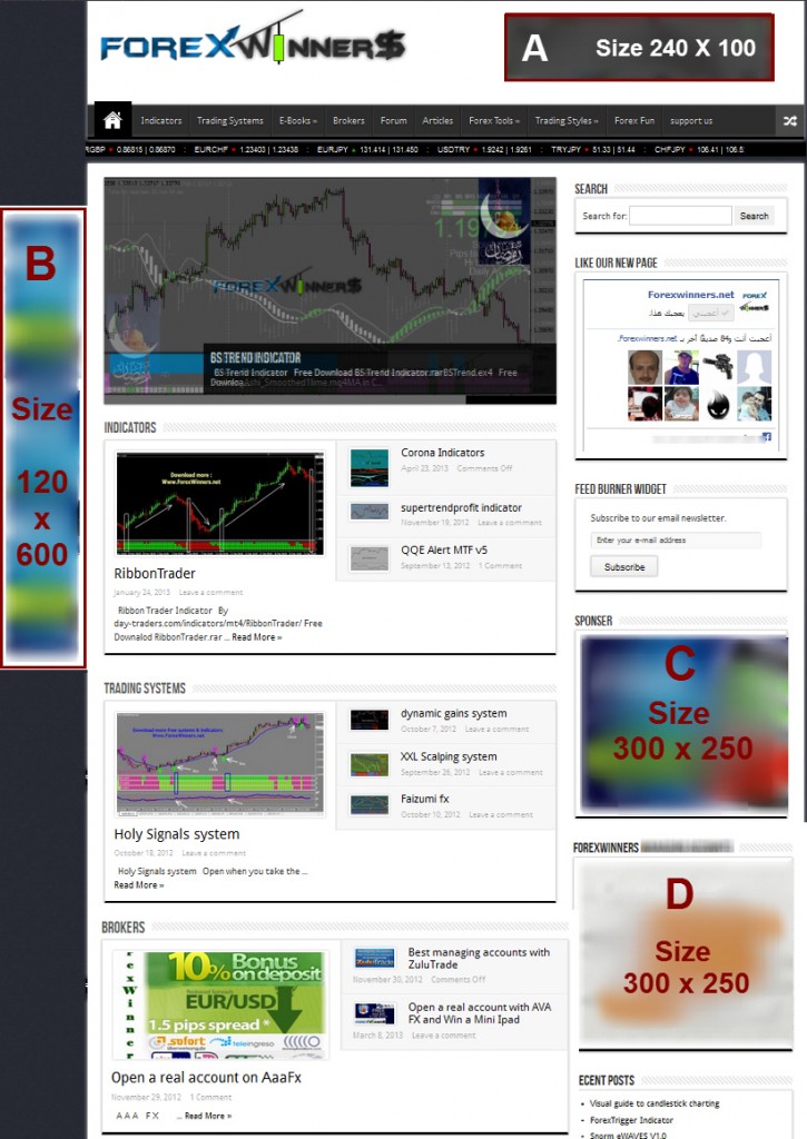 Final - Forex Winners | Free Download