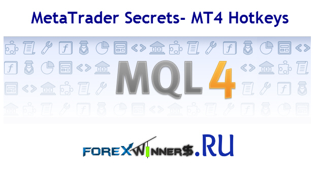 MetaTrader Secrets- MT4 Hotkeys - Forex Winners | Free Download
