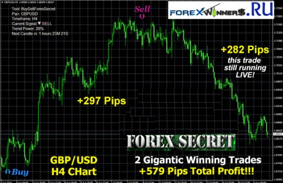 Secret indicator - Forex Winners | Free Download