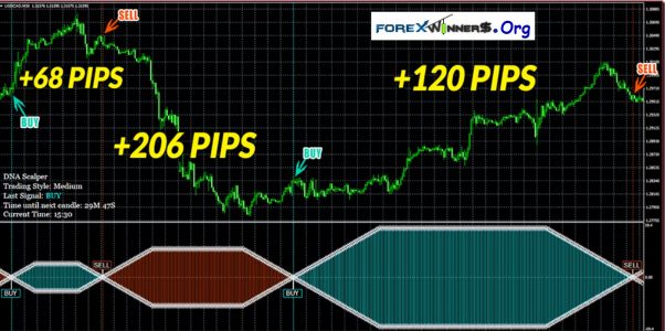 NEW DNA Scalper System - Forex indicator for easy trading signals ...
